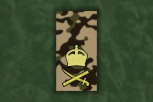 British Army Ranks - Lowest to Highest